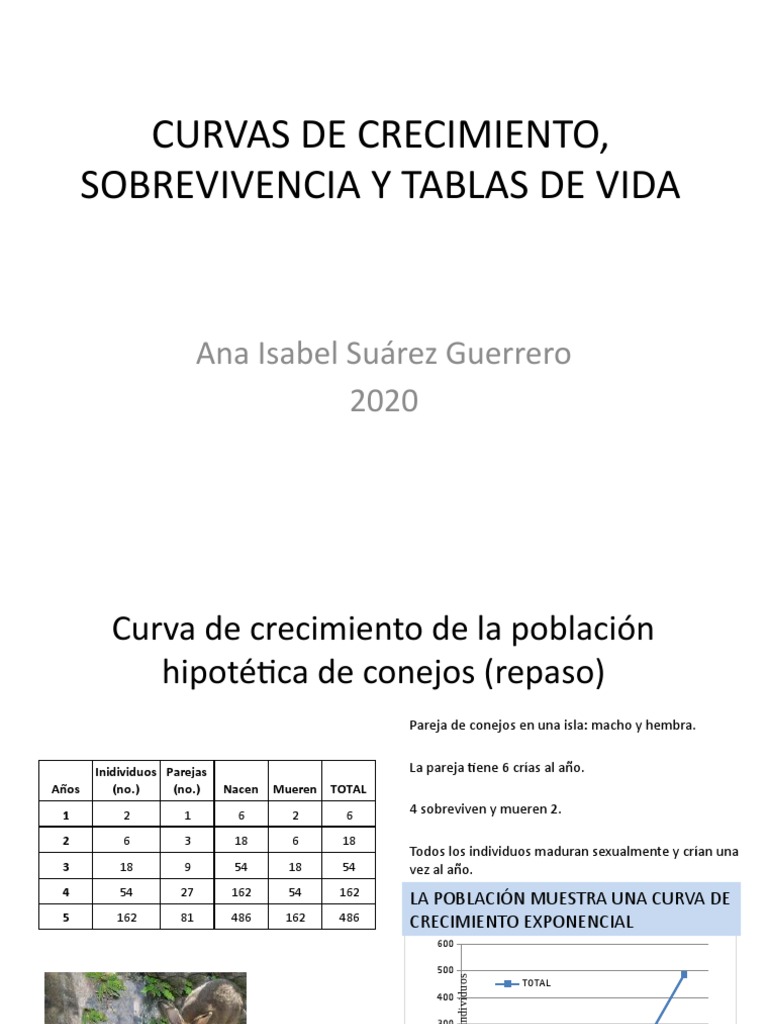 Tabla de Vida 2020 | PDF