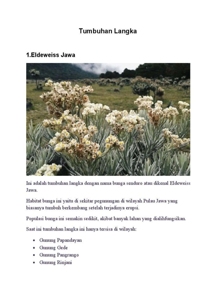 Tumbuhan Langka | PDF