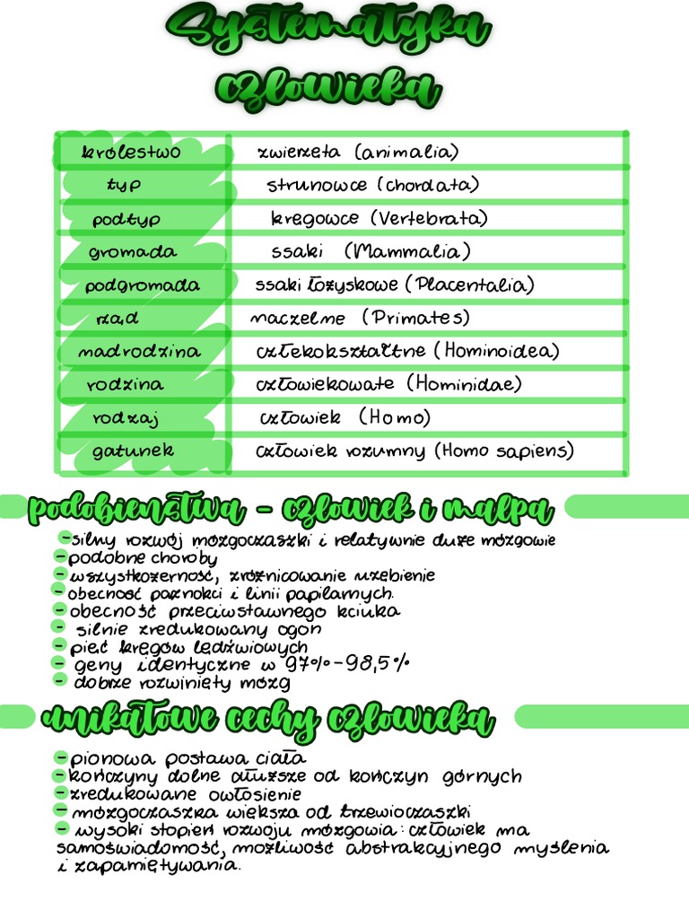 1.1 Miejsce Człowieka W Systemie Klasyfikacji Organizmów | PDF