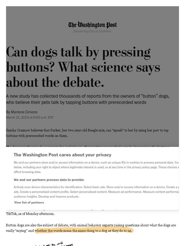 Can Dogs Talk by Pressing Buttons? What Science Says About The Debate ...