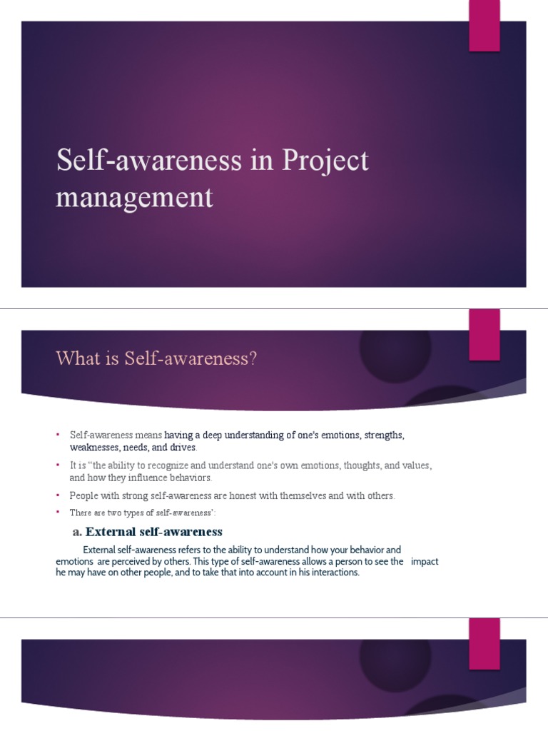 Project Management Selfawareness | PDF | Emotional Self Regulation ...