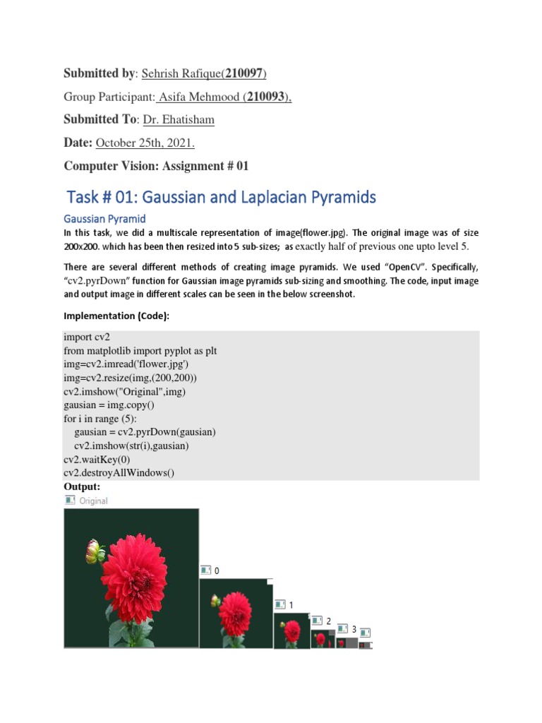 Report Pdf Digital Signal Processing Multidimensional Signal