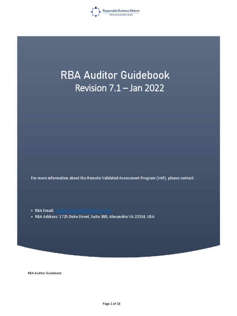 RBA Auditor Guide Book | PDF | Audit | Auditor's Report
