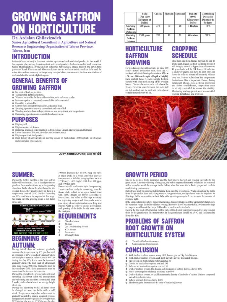 Growing Saffron | PDF | Horticulture | Greenhouse