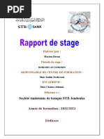 PFE Final . | PDF | Banques | Ratio financier