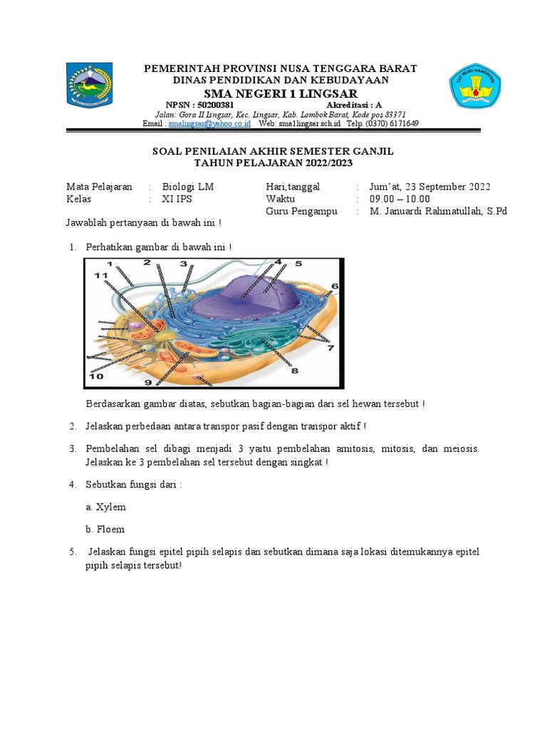 Soal PTS Ganjil Biologi LM Kelas Xi TP 2022 - 2023 | PDF