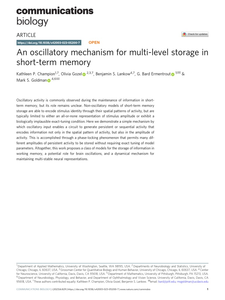 An Oscillatory Mechanism For Multi-Level Storage in Short-Term Memory | PDF | Neural Oscillation ...