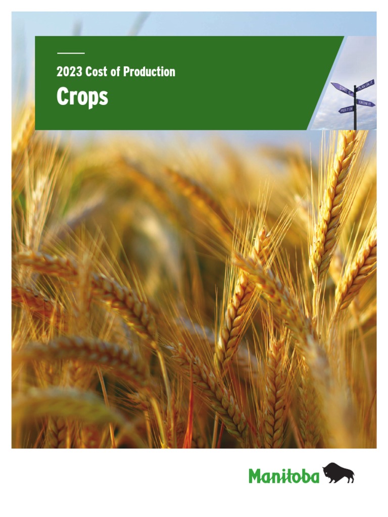 Cop Crop Production | Download Free PDF | Wheat | Agriculture