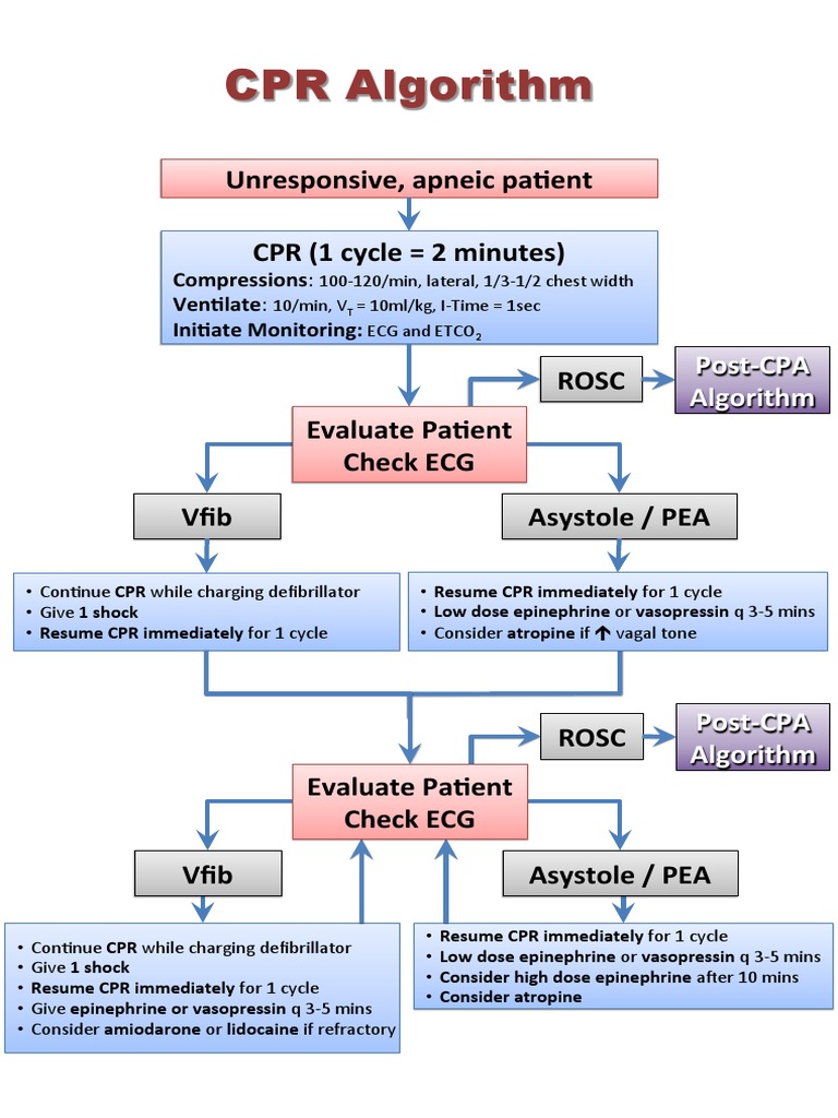 CPR Algorithm3 | Download Free PDF | Cardiopulmonary Resuscitation | Heart