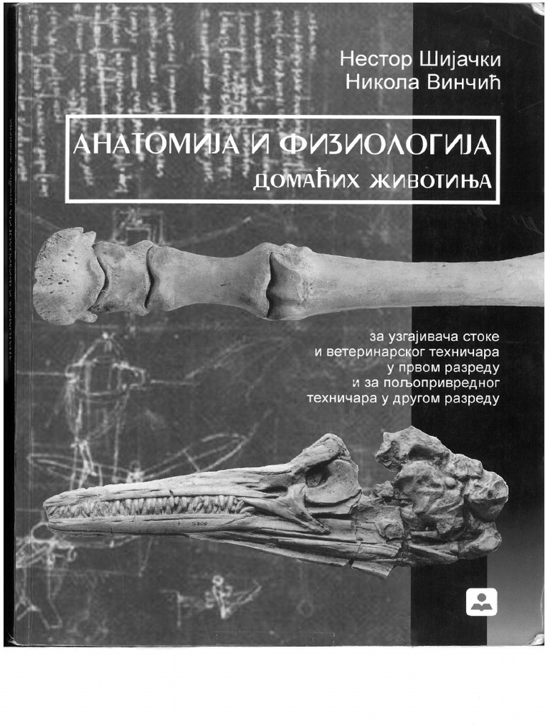 Anatomija I Fiziologija | PDF