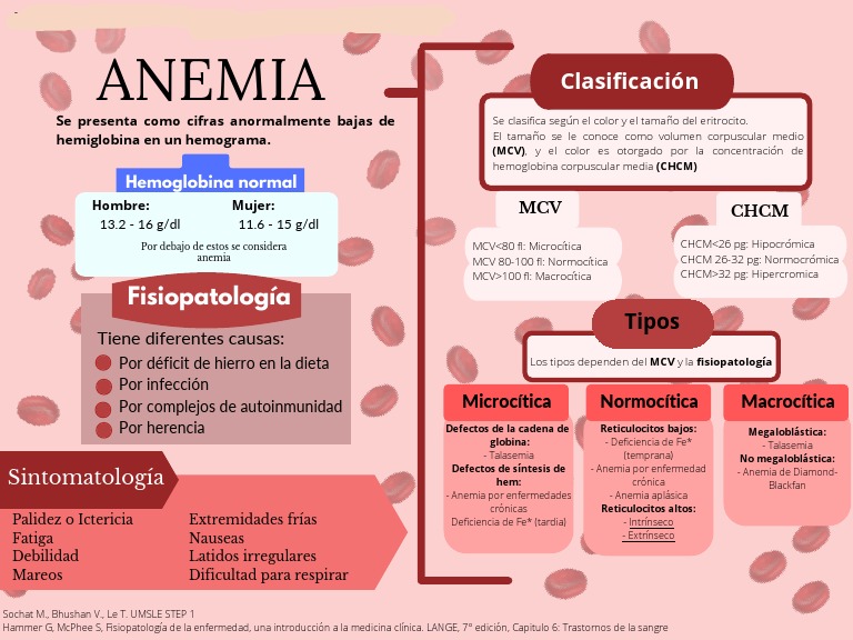 Clasificación de Tipos de Anemia | PDF | Anemia | Medicina