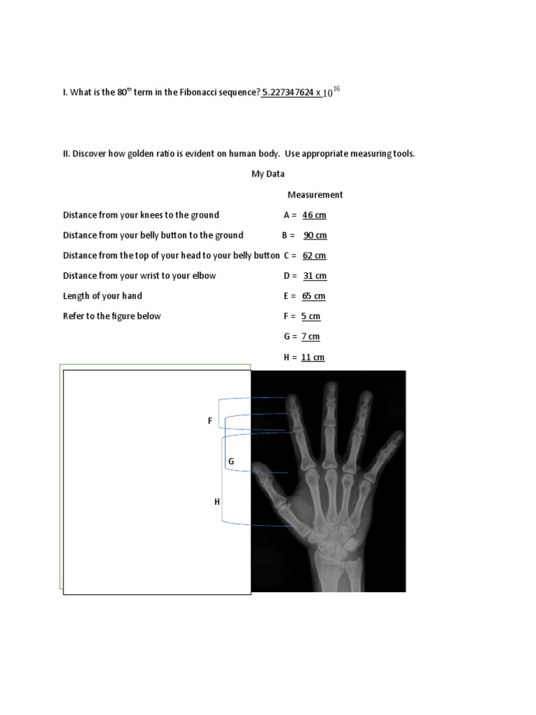 Discover How Golden Ratio Is Evident On Human Body | PDF