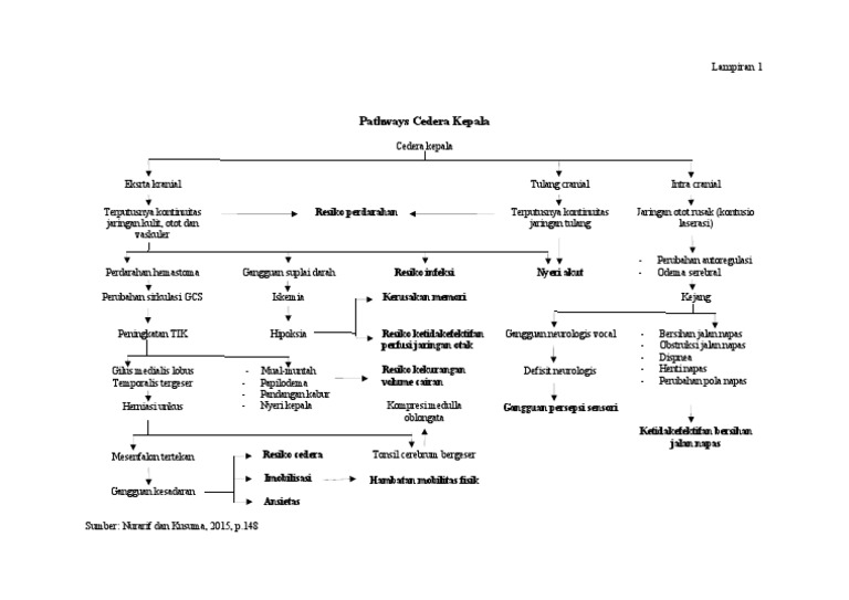Pathways Cedera Kepala | PDF
