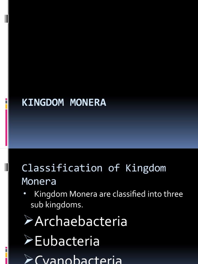 Kingdom Monera Class Xi (Biology) | PDF | Bacteria | Cell (Biology)