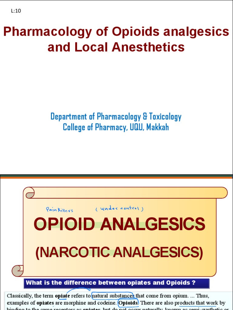 Lect 10 - Opioids and LA | PDF | Opioid | Morphine