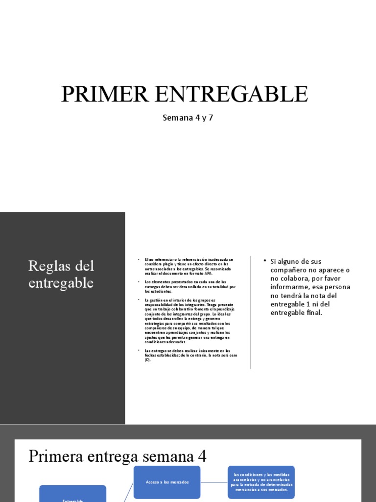 Primer Entregable: Reglas y Estructura | PDF | Economias