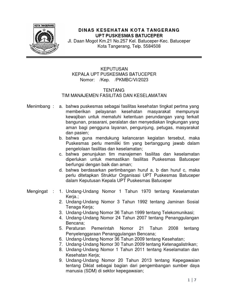 Contoh SK TIM MFK | PDF