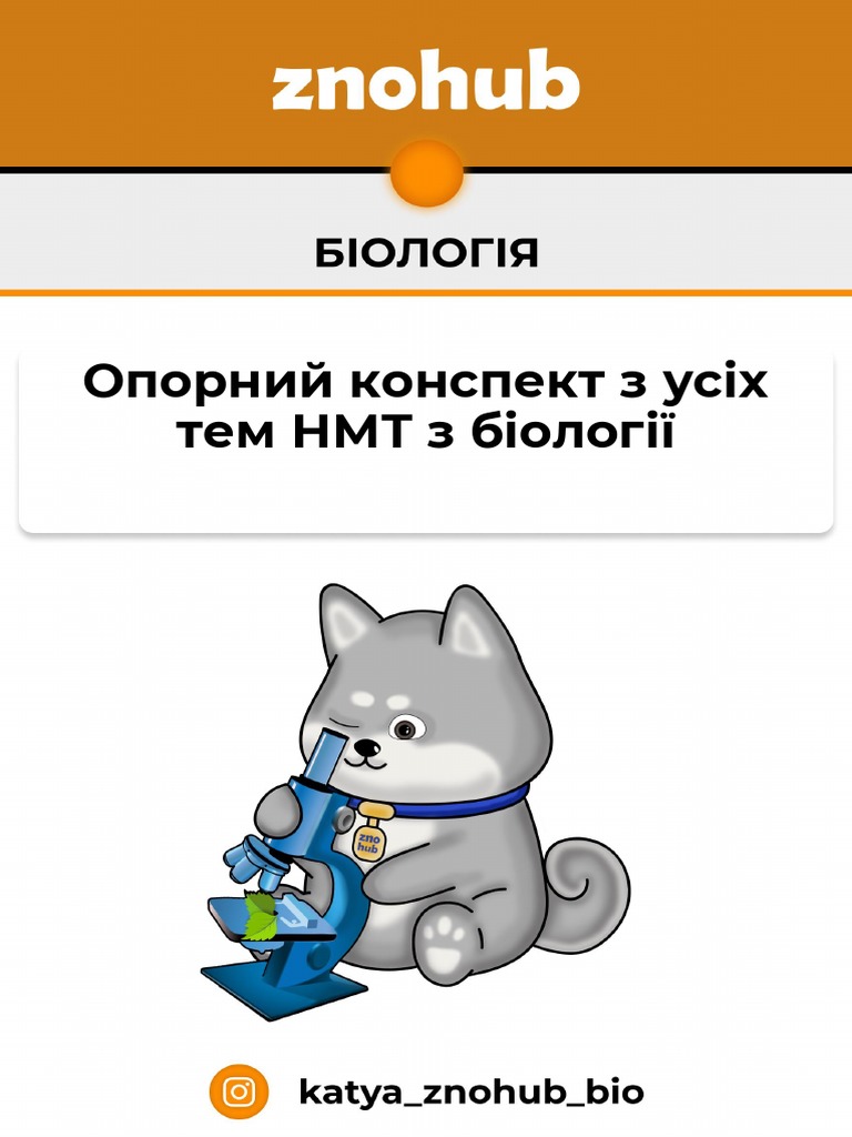 Опорний Конспект з Усіх Тем | PDF