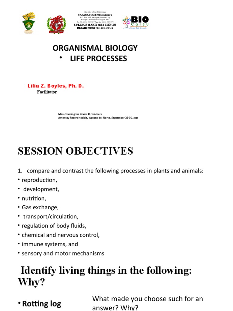 Life Processes in Plants and Animals | PDF | Cellular Respiration | Plants