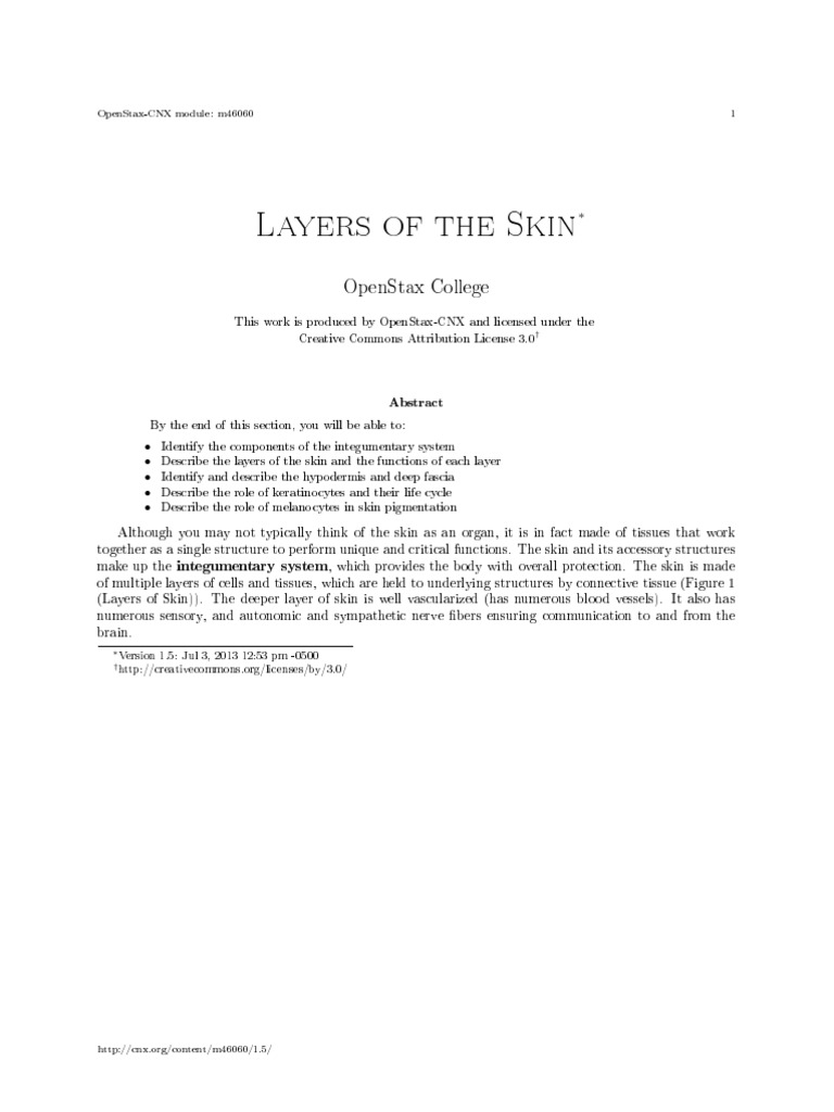 Anatomy Of The Epidermis Of The Skin Stock Vector