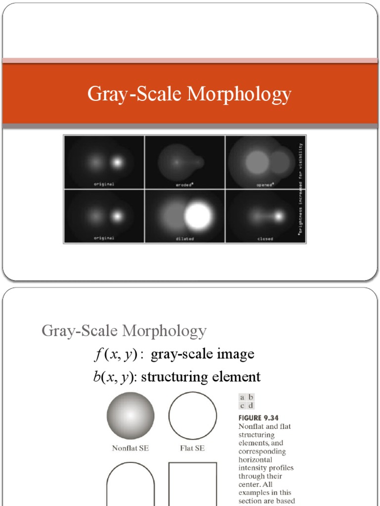 Gray Scale Morphology | Download Free PDF | Image Segmentation | Image Processing