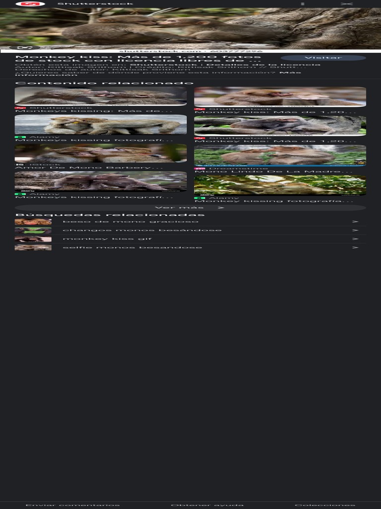Monos Besando A Otra - Buscar Con Google | PDF
