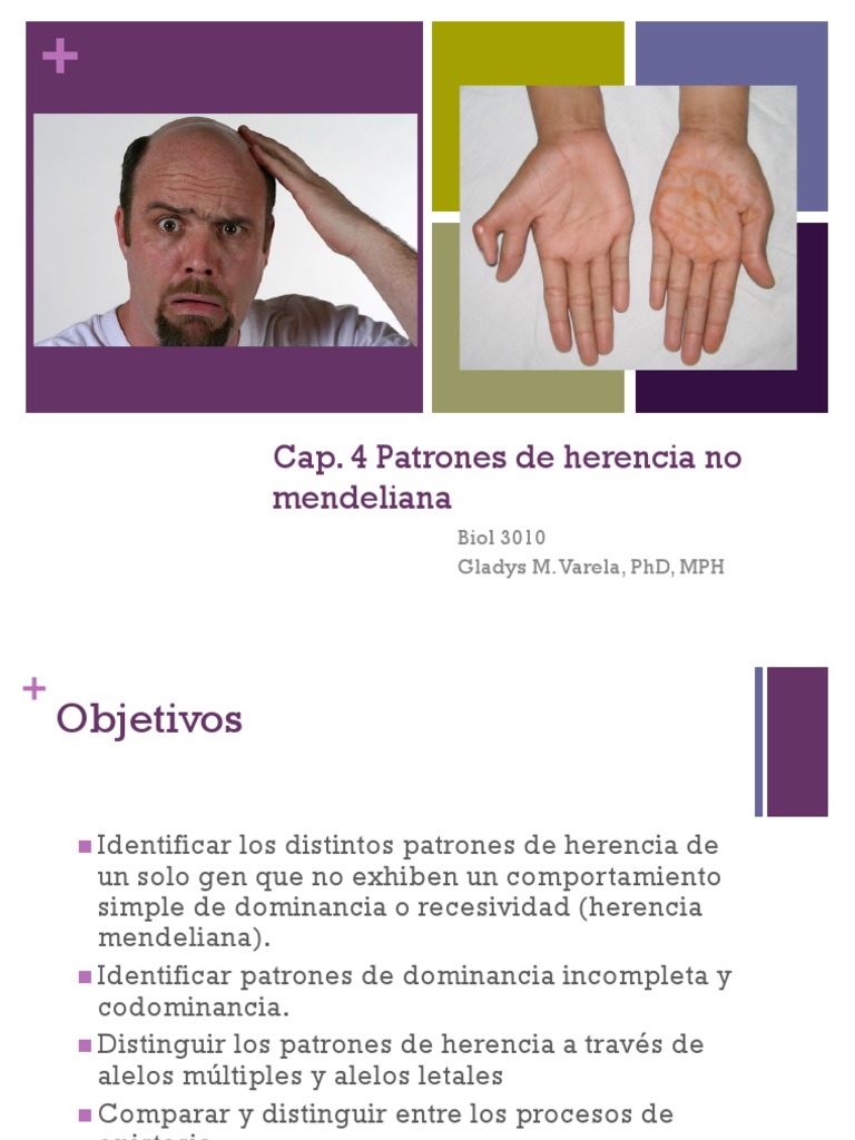 Biol 3010 Cap. 4 Herencia No Mendeliana | PDF | Epistasis | Alelo Biol 3010 Cap. 4 Herencia No Mendeliana | PDF | Epistasis | Alelo
