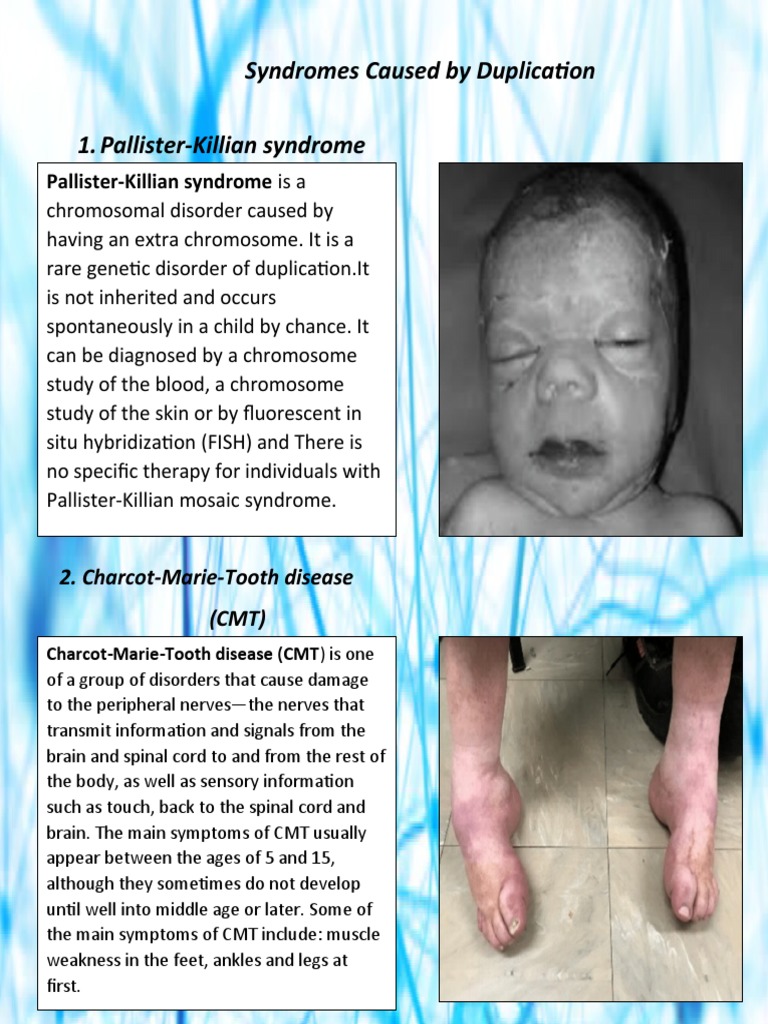 Dupli | PDF Dupli | PDF