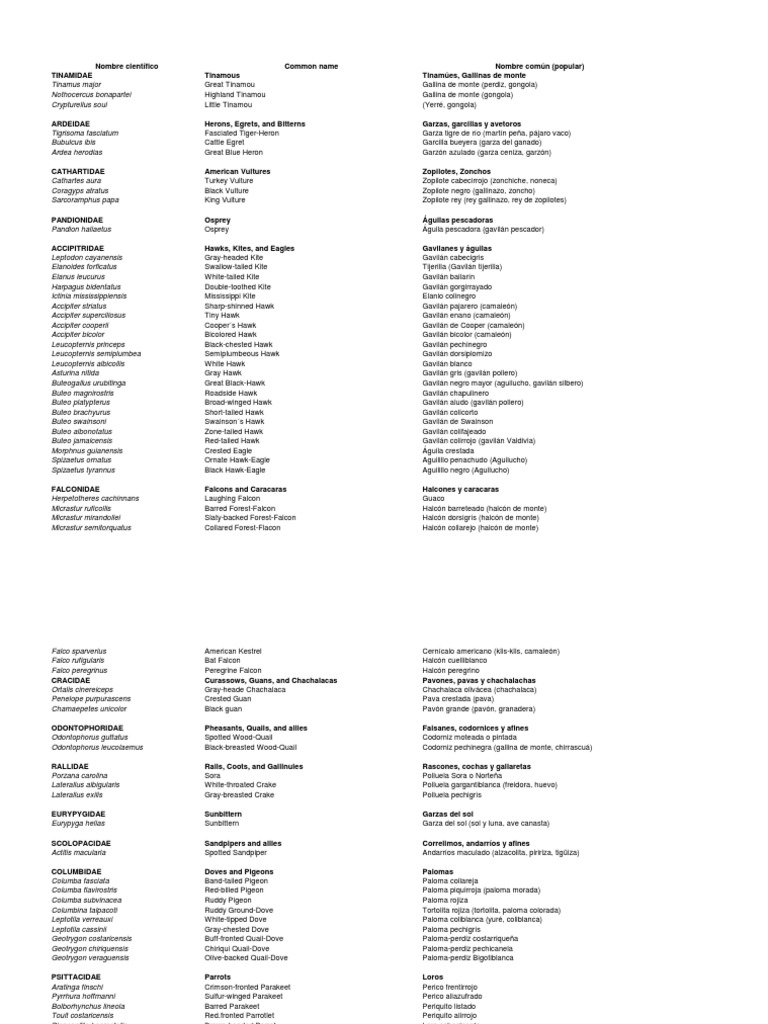 Copal | PDF | Aves de américa del norte | Aves holarctic