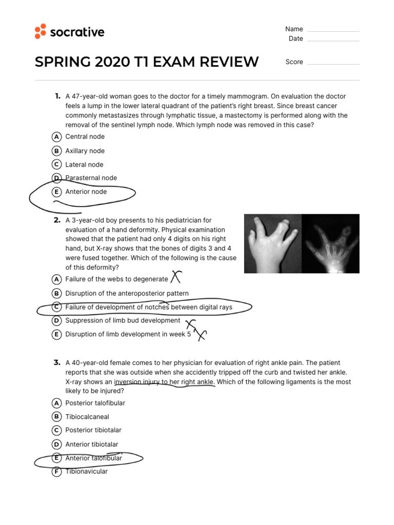 Iea MSK | PDF | Knee | Back Pain