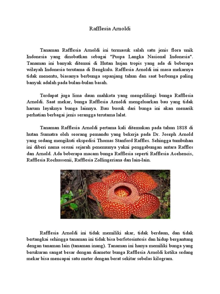 Tanaman Rafflesia Arnoldi | PDF
