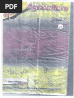 Grade 5 - RED SPOT REVISION | PDF