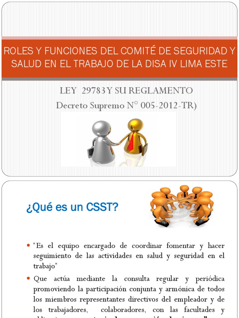 Roles y Funciones Del CSST | PDF | Valores | Derecho laboral