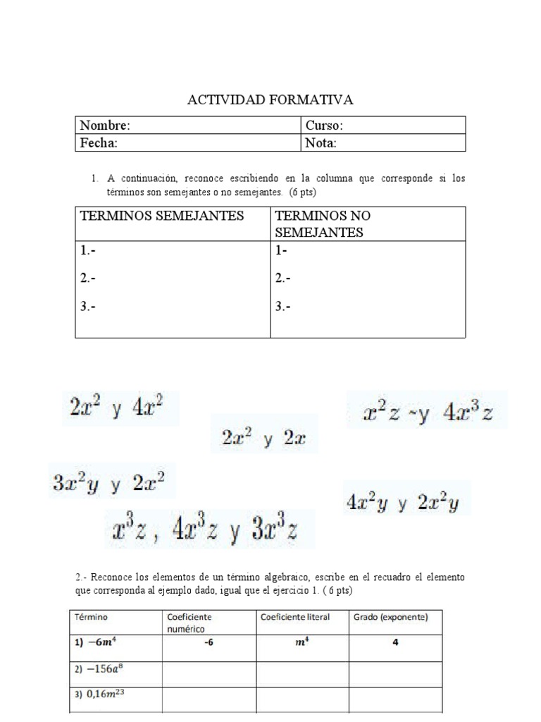 Actividad Matematicas 8vo | PDF