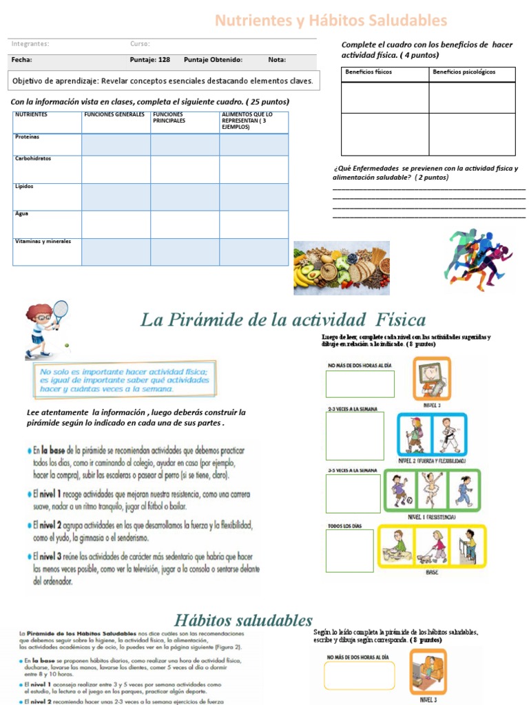 Hábitos | PDF | Nutrientes | Nutrición