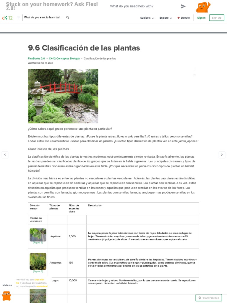 3 Clasificación de Las Plantas - CK-12 Foundation | PDF | Plantas | Semilla
