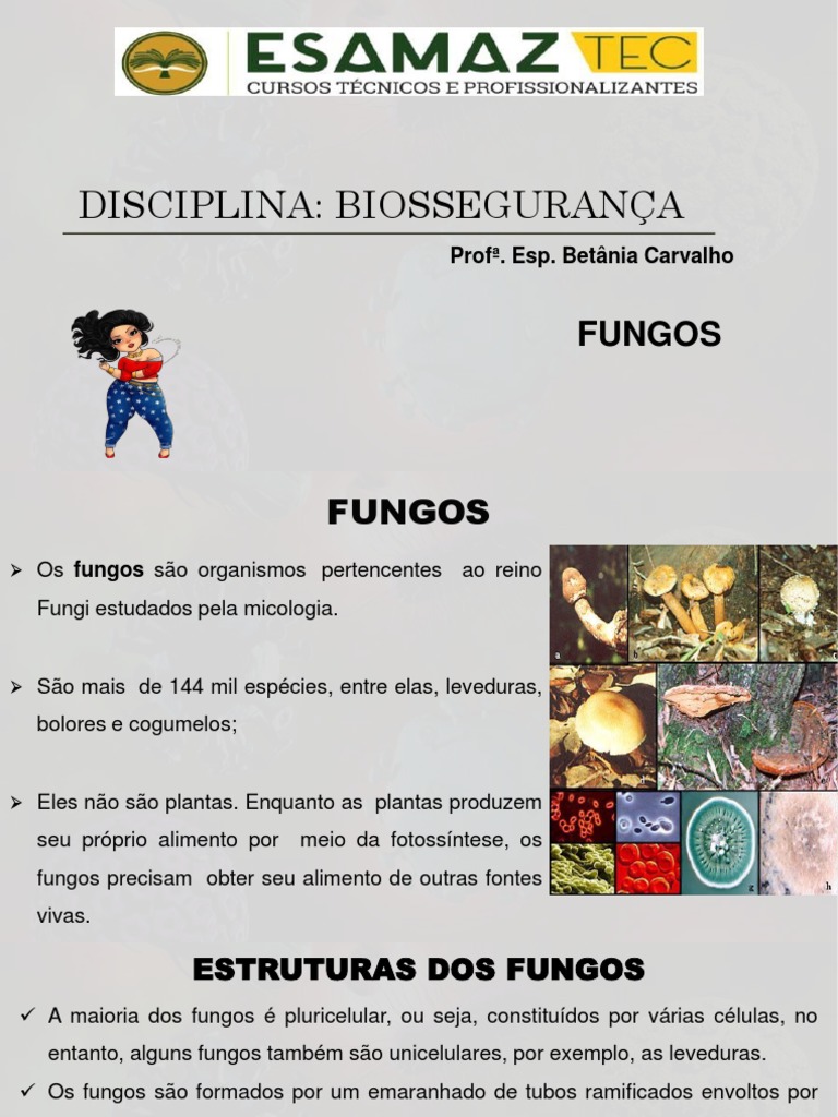 FUNGOS | PDF | Fungo | Fermento