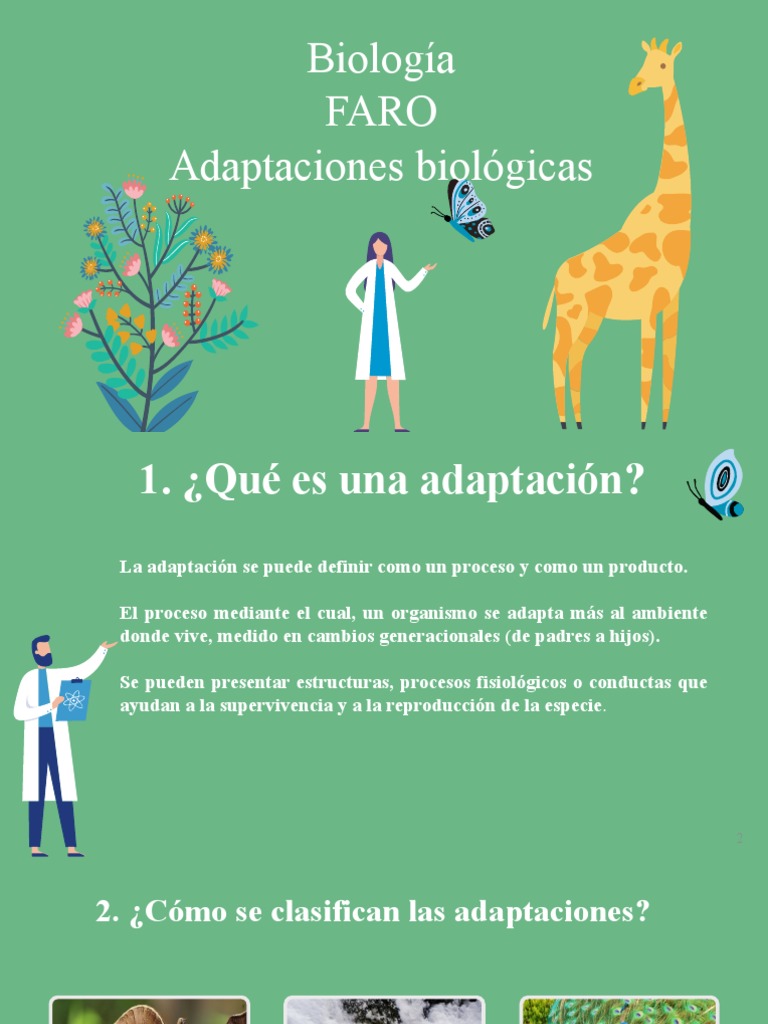 Adaptaciones biológicas en organismos | PDF | Adaptación | Aves