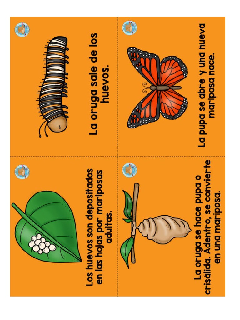 Ciclo de Vida de Los Insectos | PDF