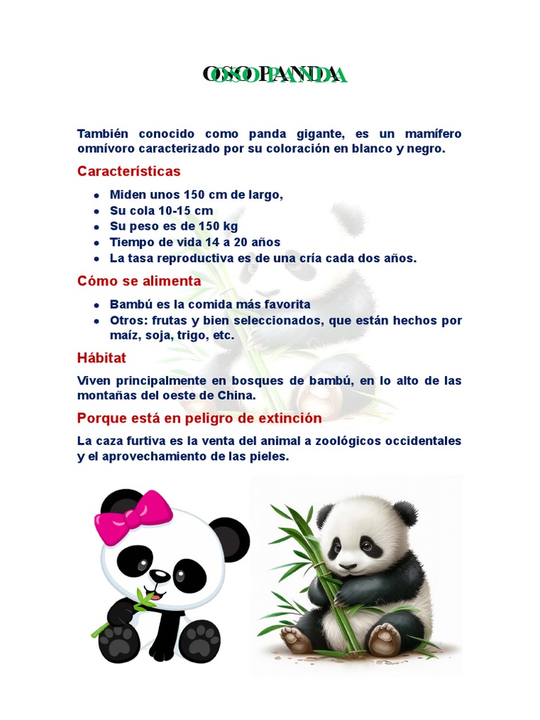 Oso Panda 01 | PDF