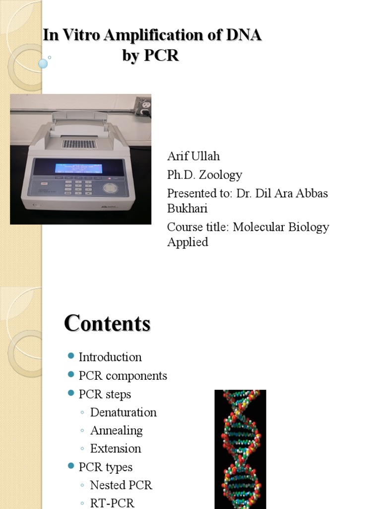 PCR Lecture | PDF | Polymerase Chain Reaction | Biology