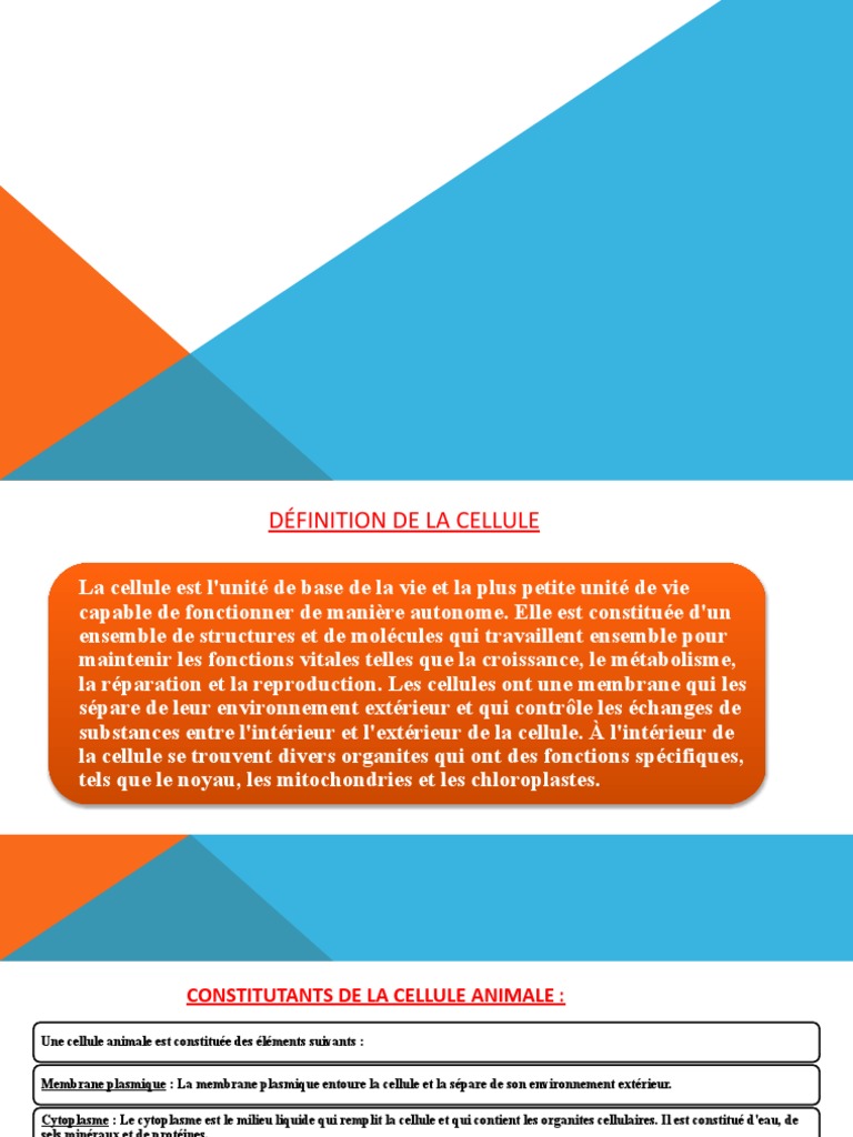 Projet SVT Mgad | PDF | Cytoplasme | Cellule (Biologie)