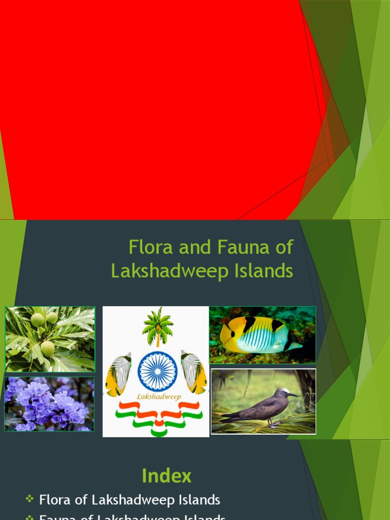 Lakshadweep Flora and Fauna Overview | PDF | Coral Reef | Biodiversity