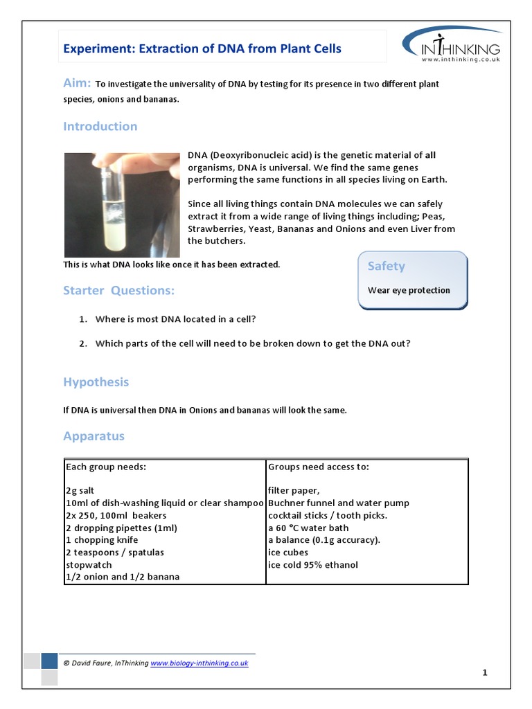 Onion and Banana DNA Extraction Experiment | PDF | Chloride | Filtration