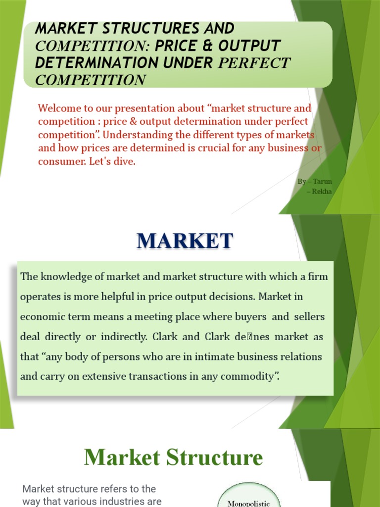 Perfect Competition Explained | PDF | Perfect Competition | Supply (Economics)