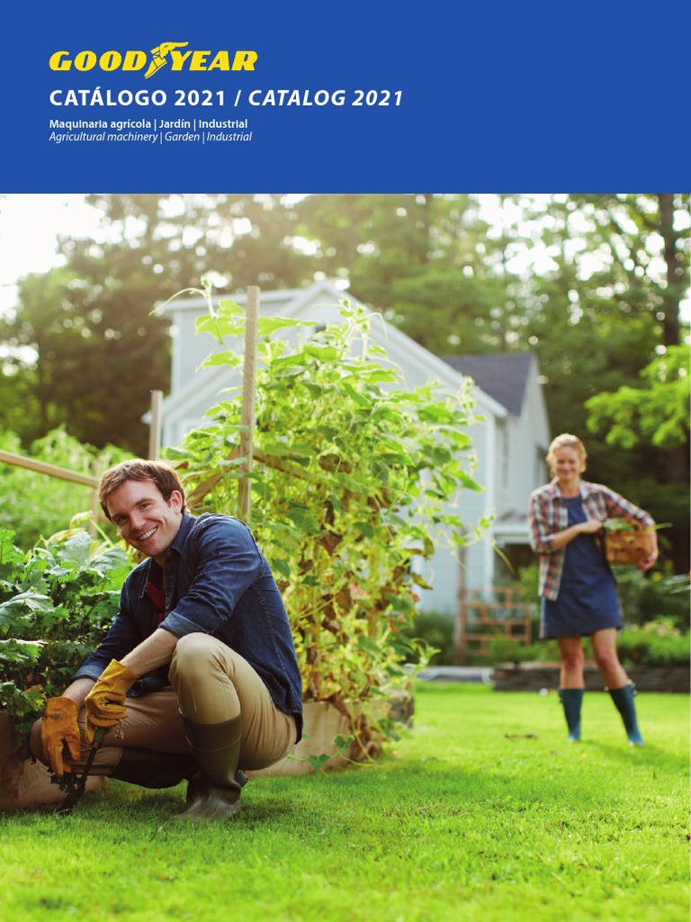 Goodyear 2021 | PDF | Metrología | Cantidad