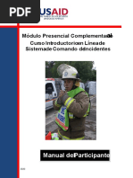 SCI 202 Plan de Accion Del Incidente | PDF