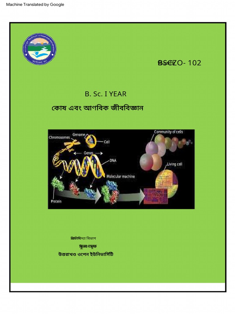 Cellular Basis of Physiology | PDF