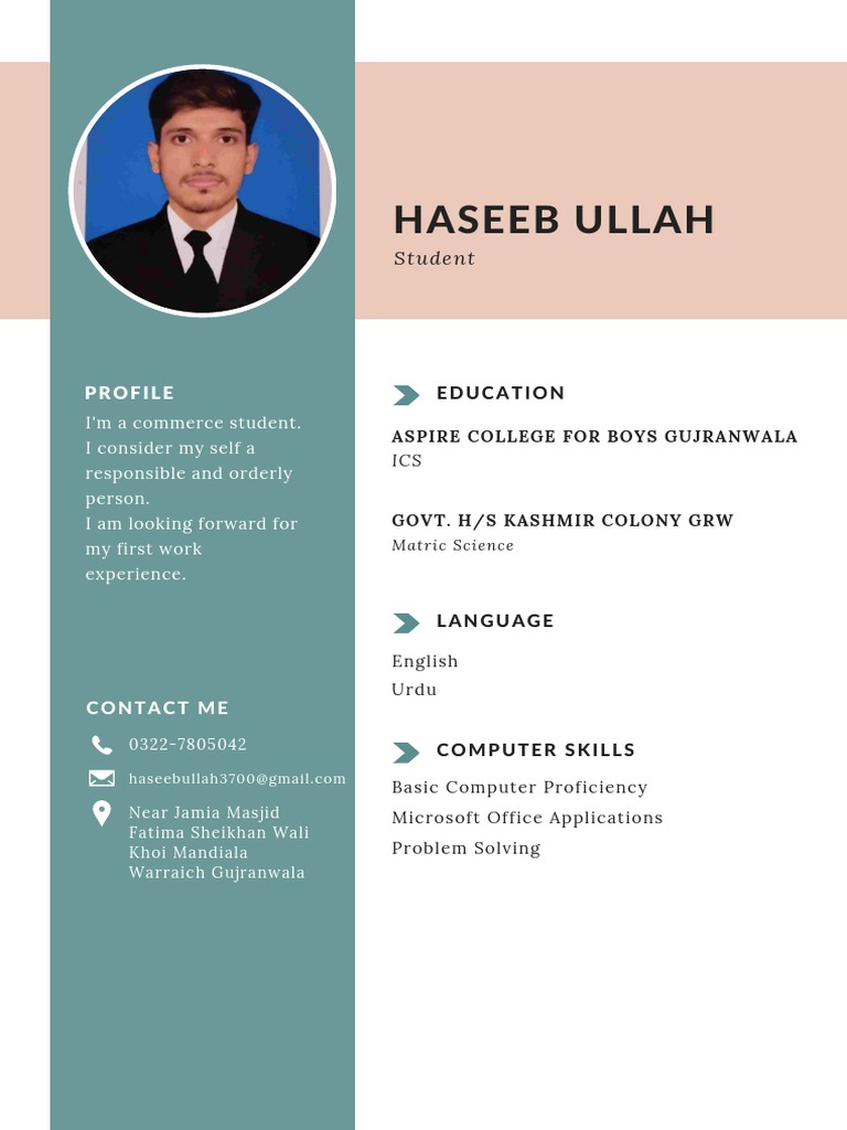 Haseeb CV | PDF