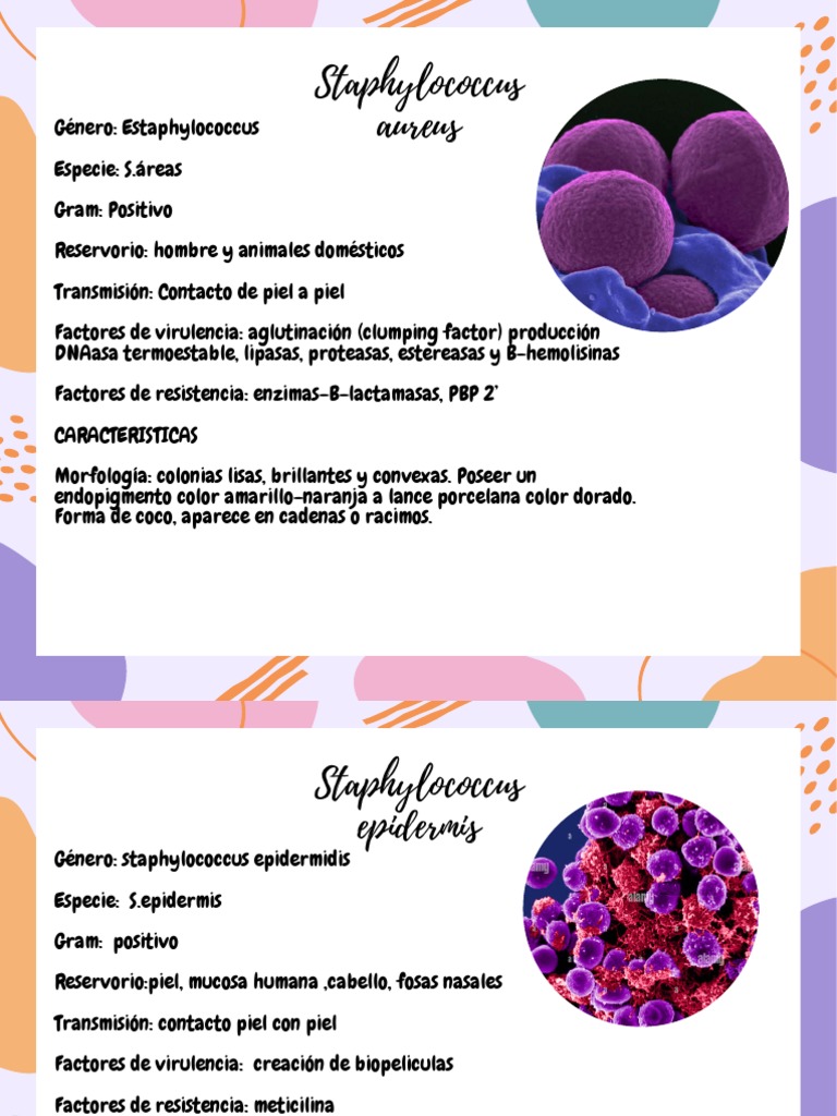 Flash Cards Microbiologia | PDF